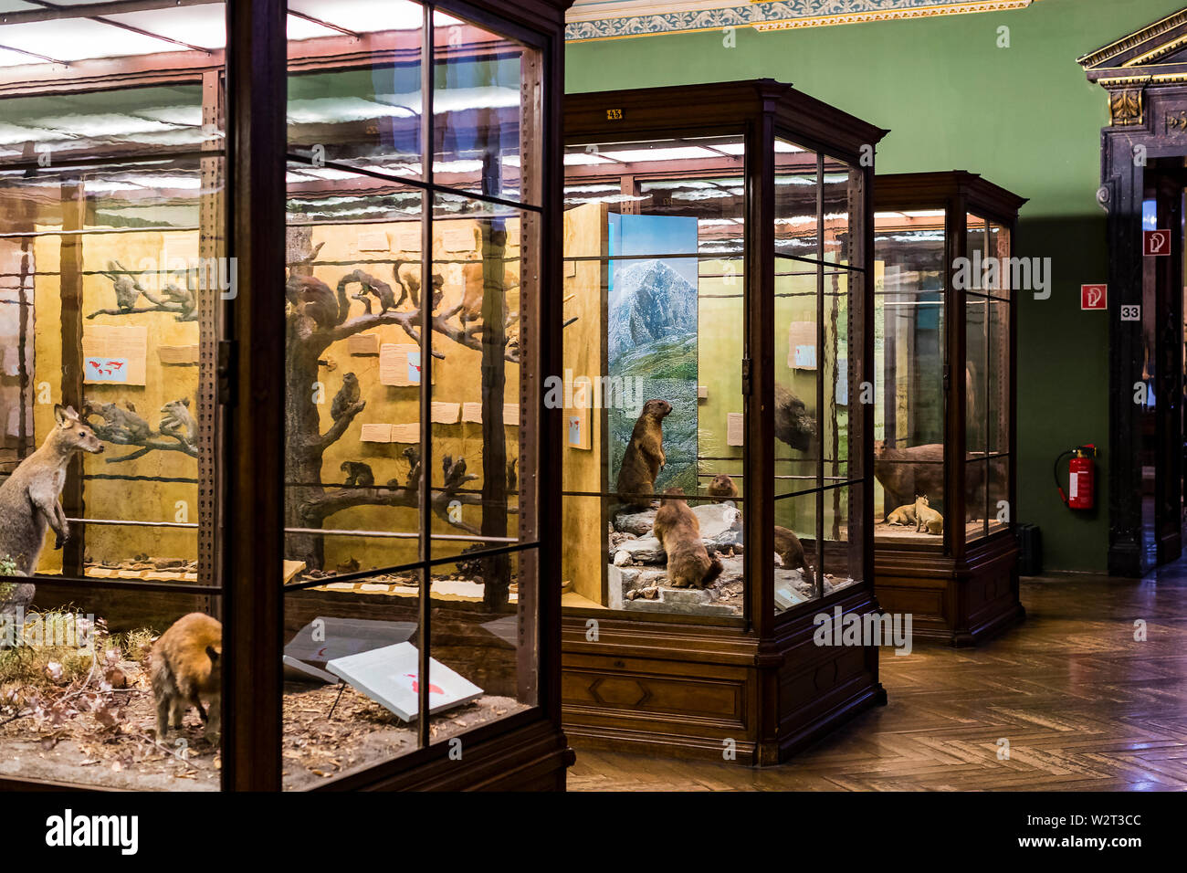 3 SEPTEMBER 2018, VIENNA, AUSTRIA: Collection of meteorites is ...