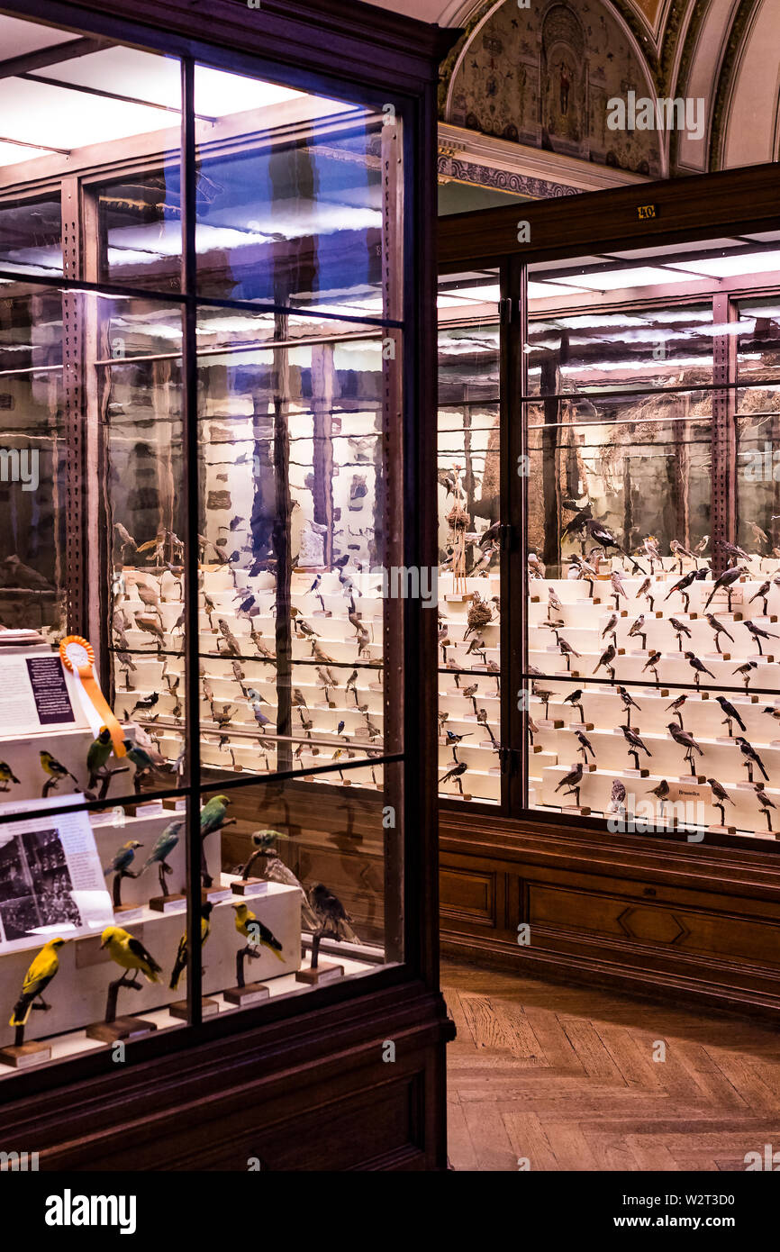 3 SEPTEMBER 2018, VIENNA, AUSTRIA: Collection of meteorites is ...