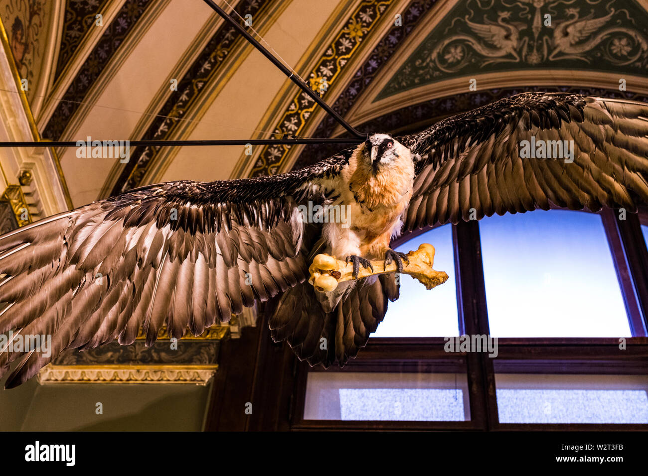 3 SEPTEMBER 2018, VIENNA, AUSTRIA: Collection of meteorites is ...