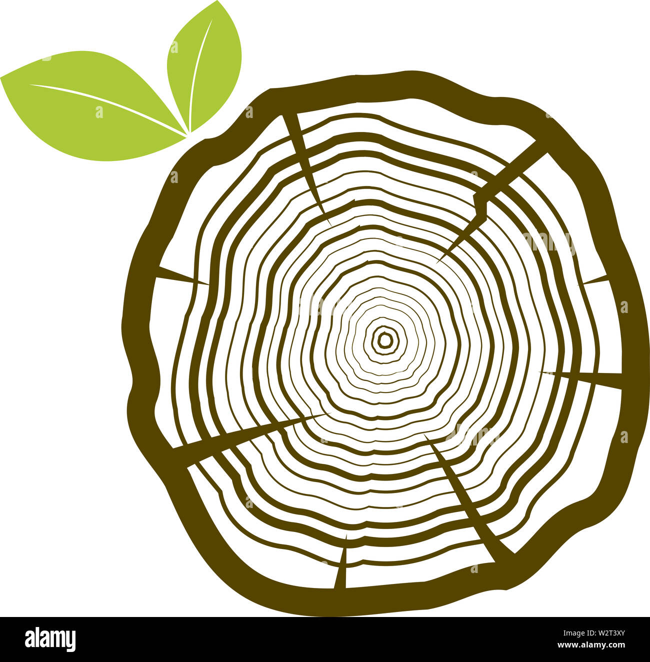 Tree trunk cut with 2 leaves Stock Photo - Alamy