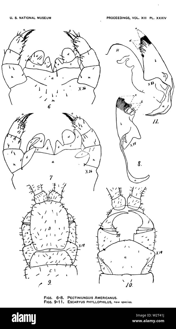 White plate paper Black and White Stock Photos & Images - Alamy
