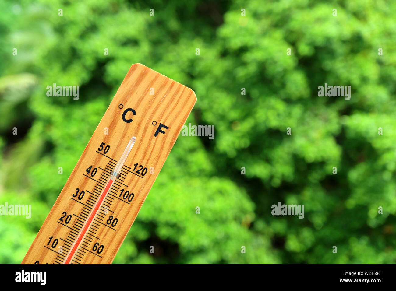 Wooden thermometer against green foliage in the sun showing very high ...