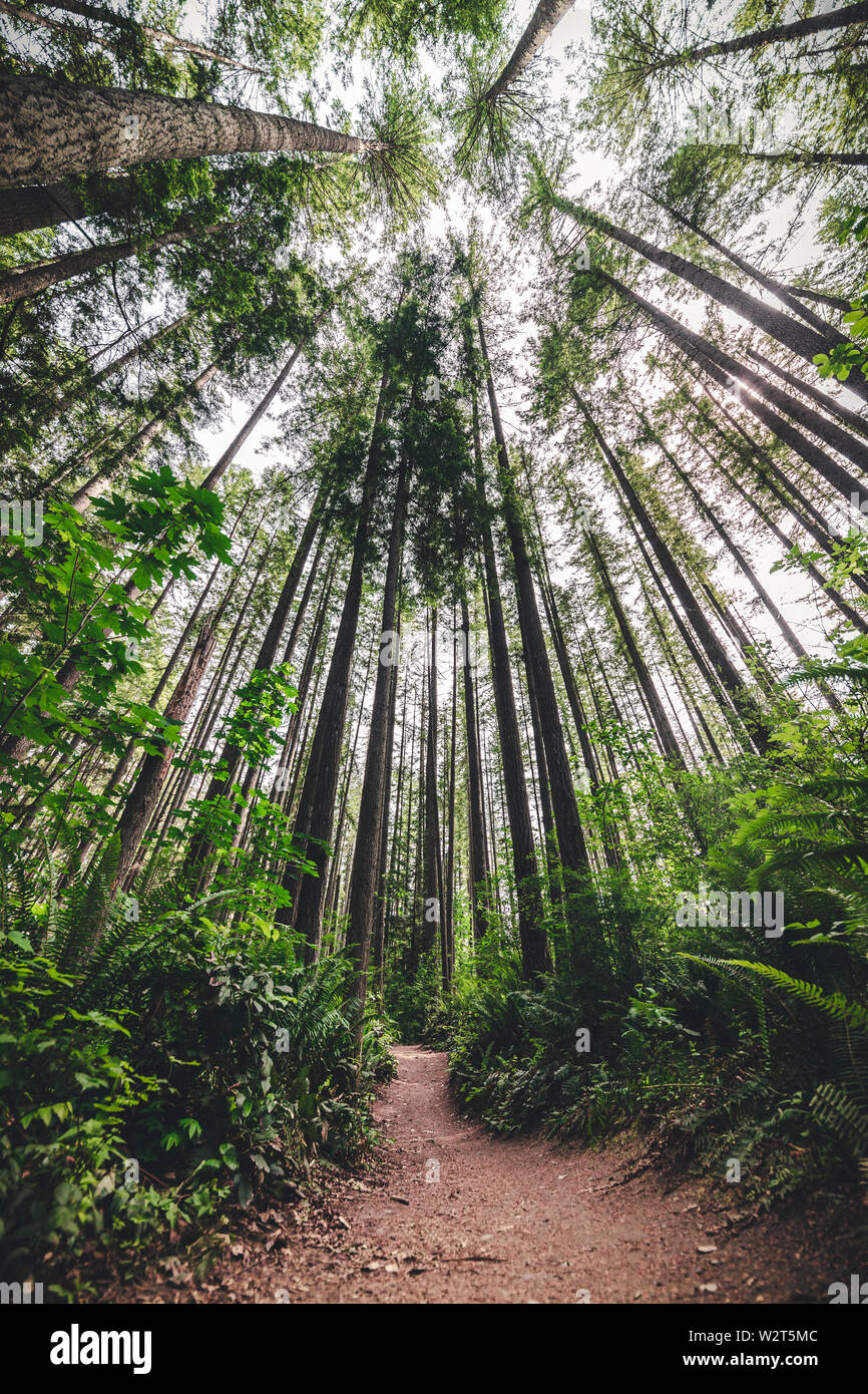 Crown point washington hi-res stock photography and images - Alamy