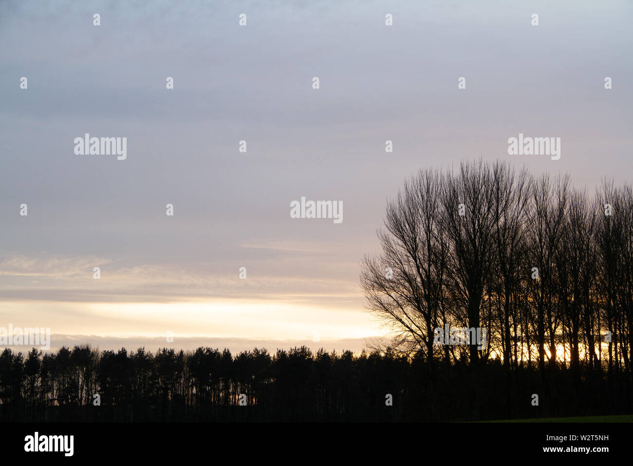 Tracery composition hi-res stock photography and images - Alamy