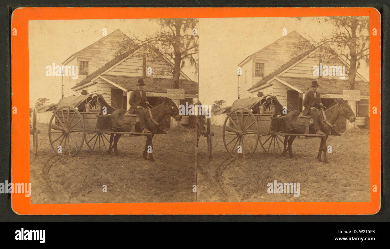 Cracker wagon (Man riding mule pulling cart with woman in it), by ...