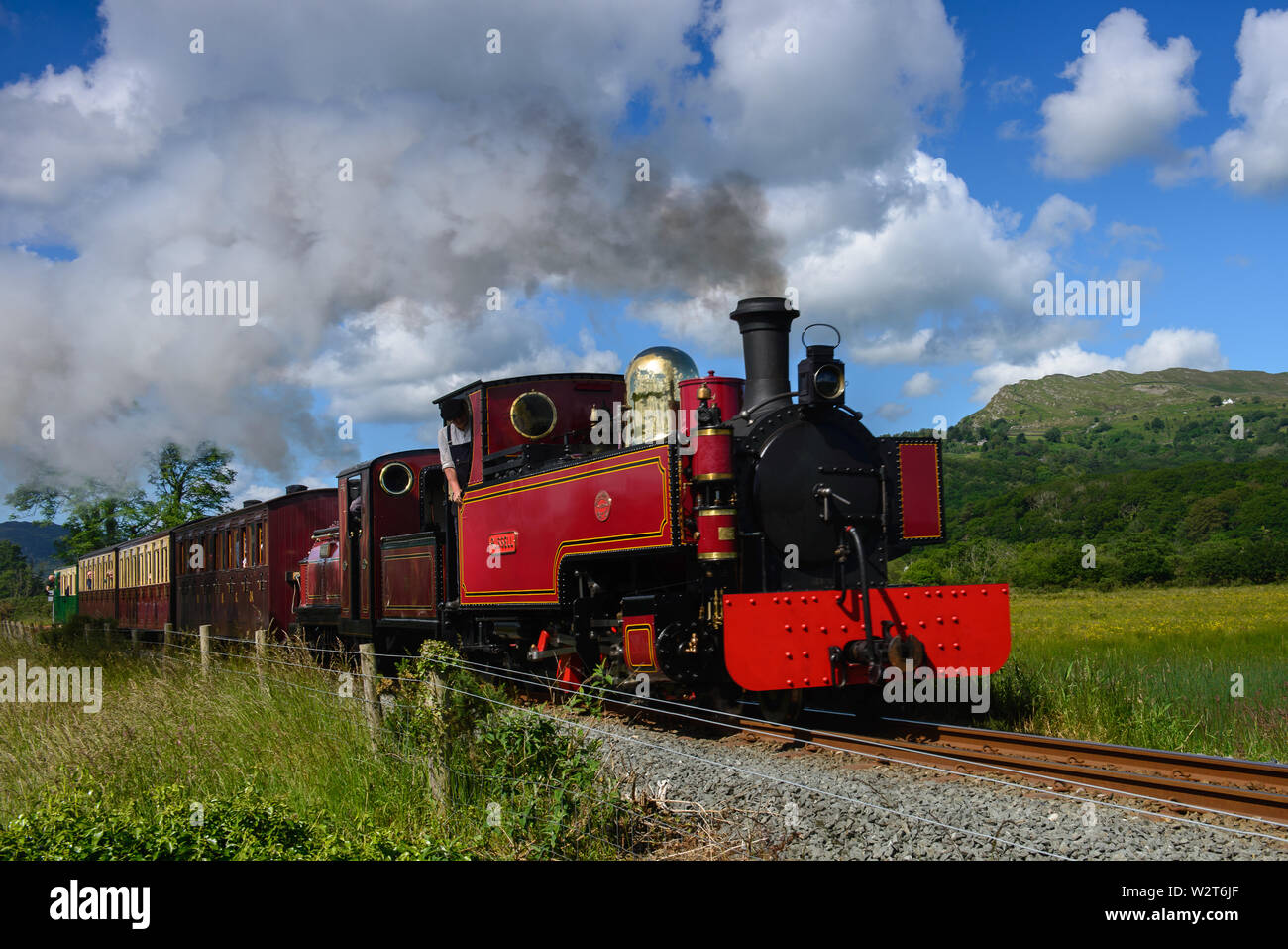 Steam train on Welsh Highland Railway on a summer day Stock Photo - Alamy