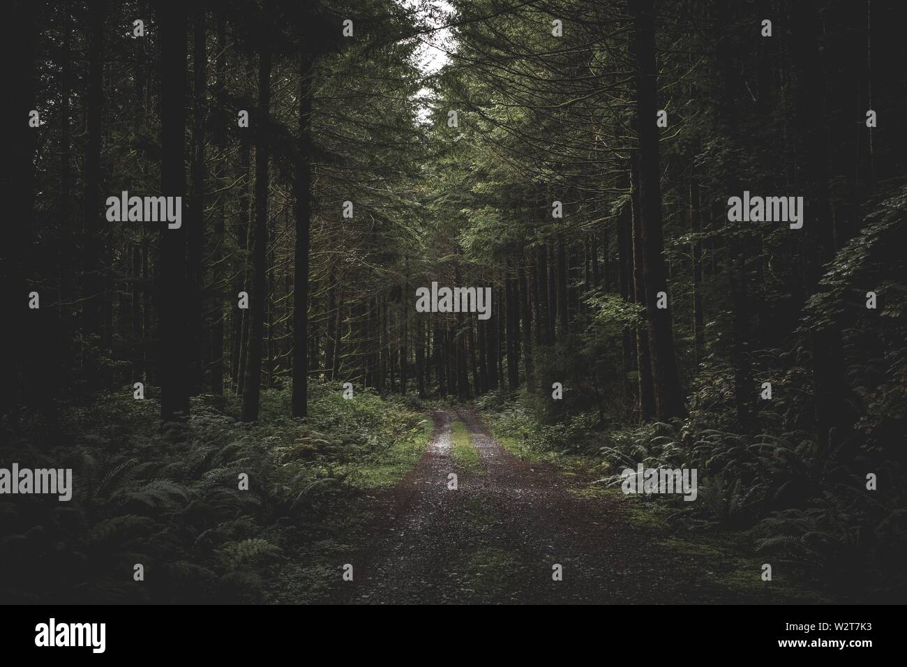 Curve in road street path scenic byway hi-res stock photography and ...