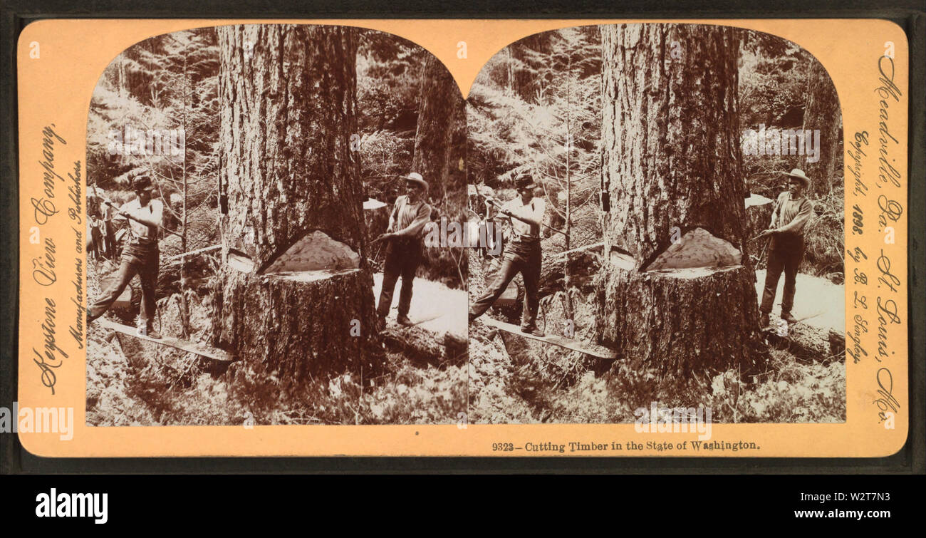 Timber harvest washington hi-res stock photography and images - Alamy