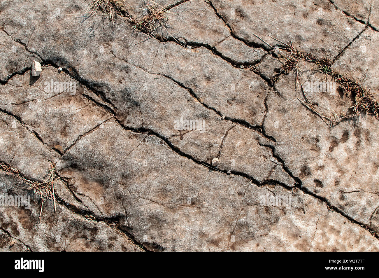 Cracked rock stone surface closeup as stone background Stock Photo - Alamy