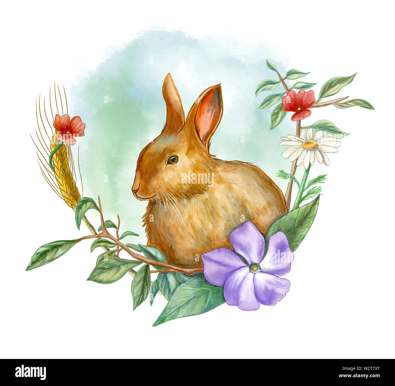 Rabbit and floral composition. Watercolor illustration Stock Photo - Alamy