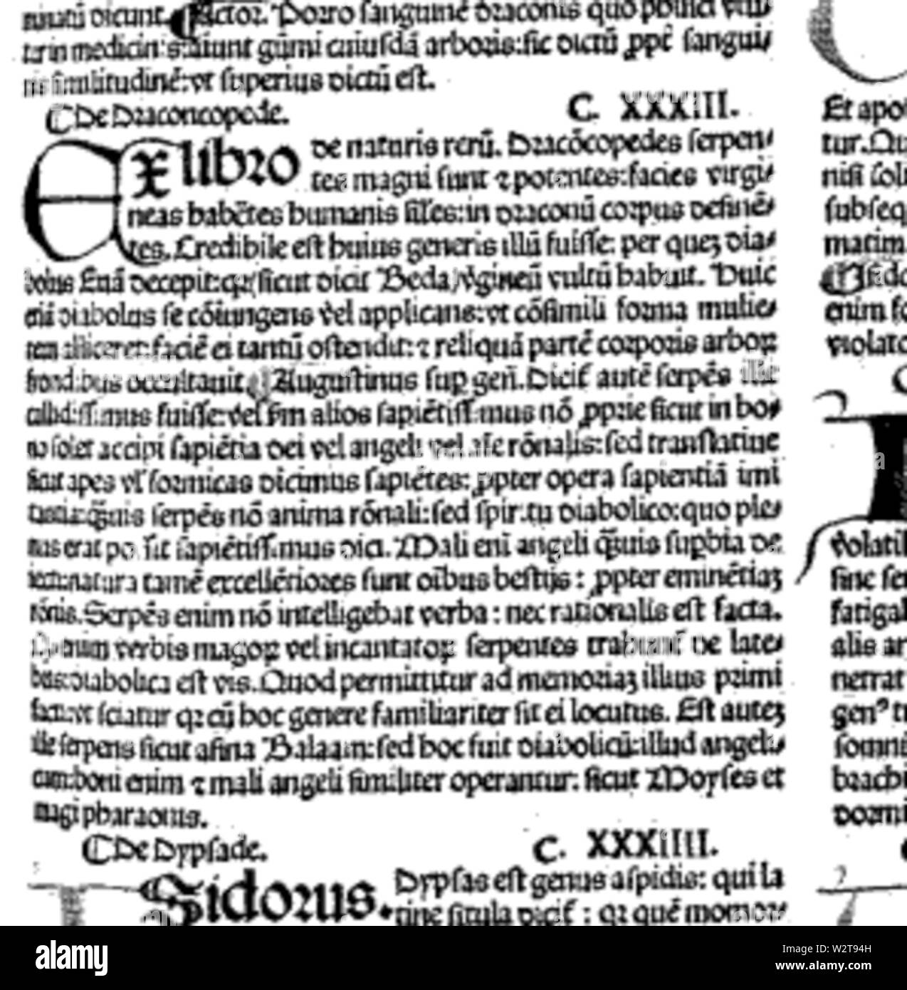 Draconcopede hi-res stock photography and images - Alamy