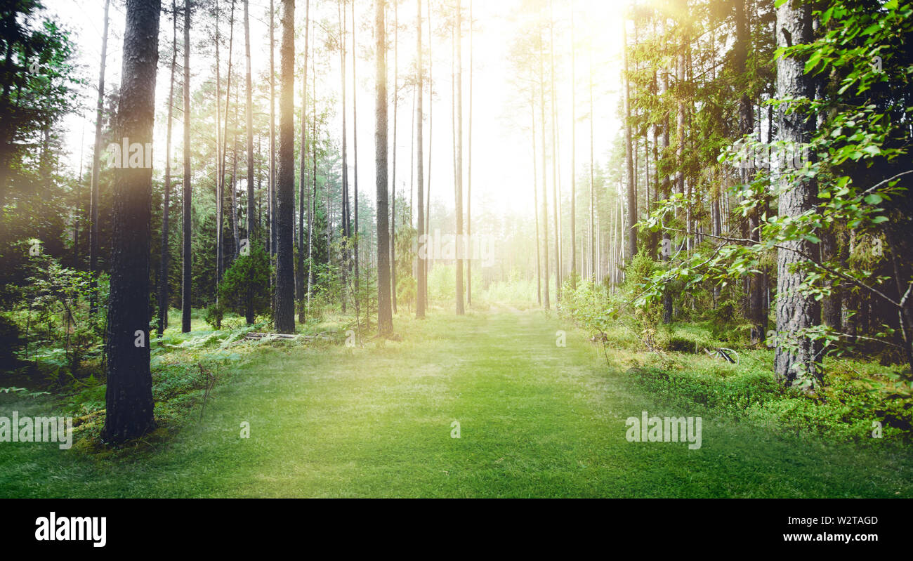 @nature @sunshine hi-res stock photography and images - Alamy