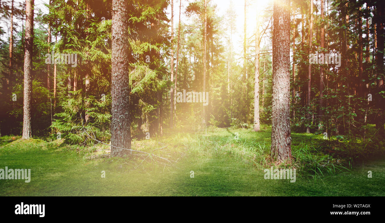 @nature @sunshine hi-res stock photography and images - Alamy