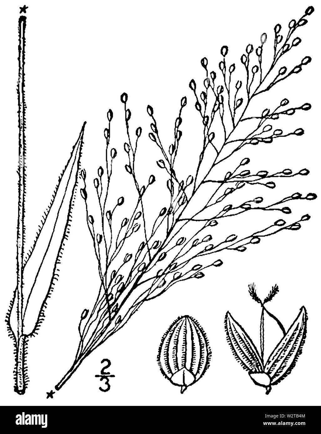 Regional health records Cut Out Stock Images & Pictures - Alamy