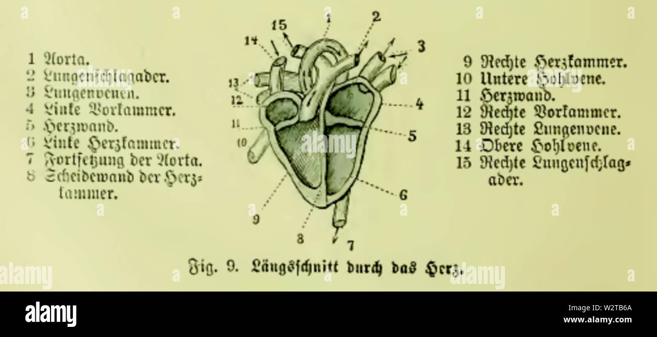 Das herz hi-res stock photography and images - Alamy