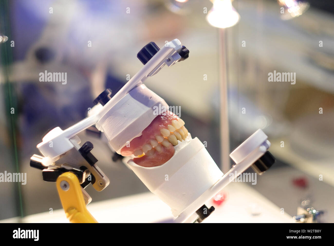 Device for the manufacture of dentures in the dental laboratory Stock ...