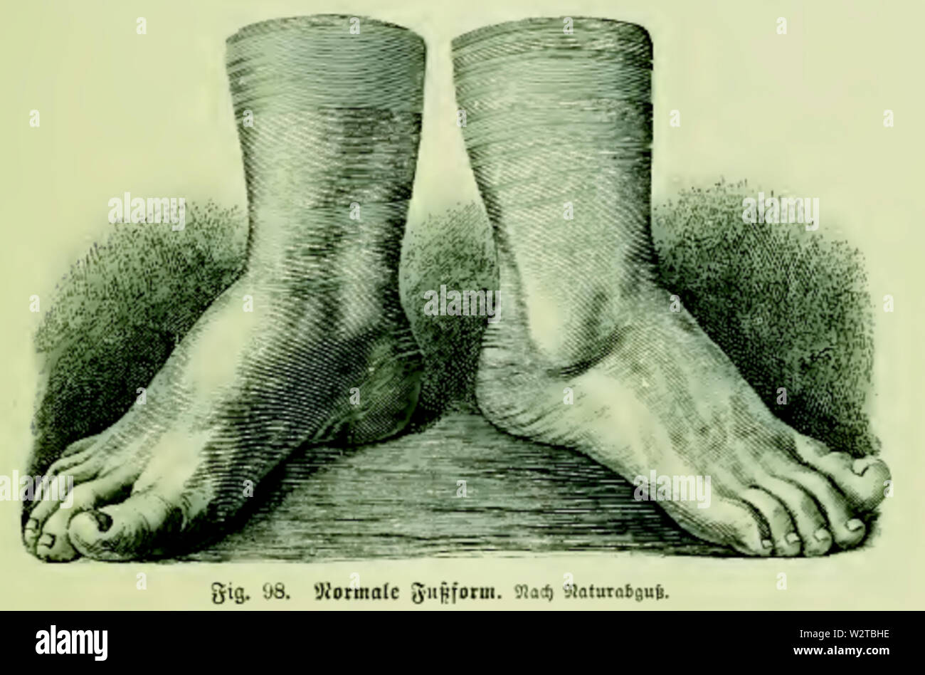 Fußform hi-res stock photography and images - Alamy