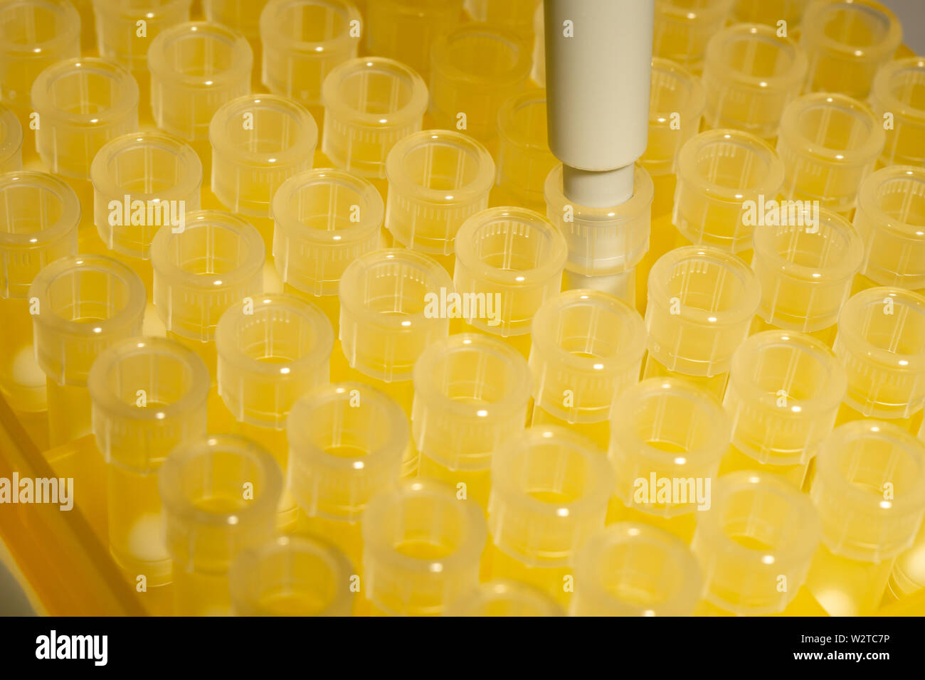 laboratory equipment pipettes tips Stock Photo - Alamy