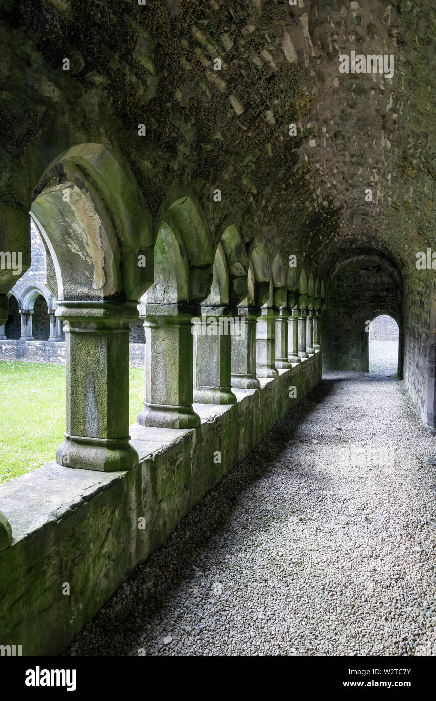 County mayo abbey hi-res stock photography and images - Alamy