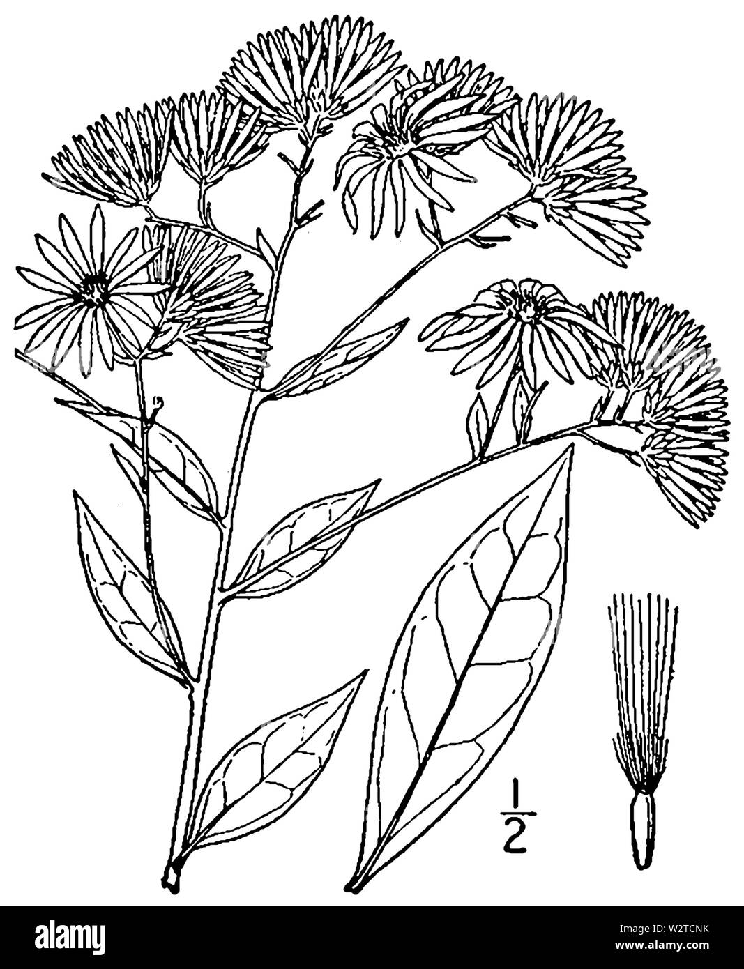 Infirma hi-res stock photography and images - Alamy