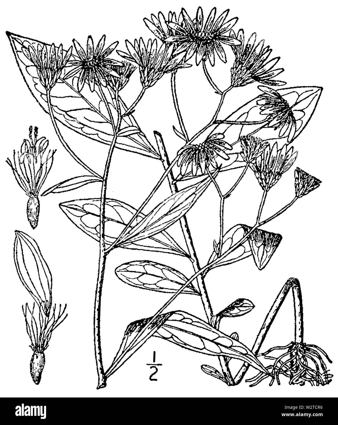 Infirma hi-res stock photography and images - Alamy