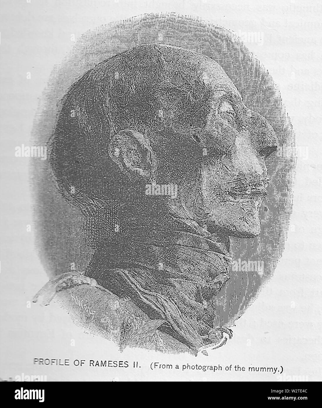 Drawing of Rameses II Stock Photo - Alamy