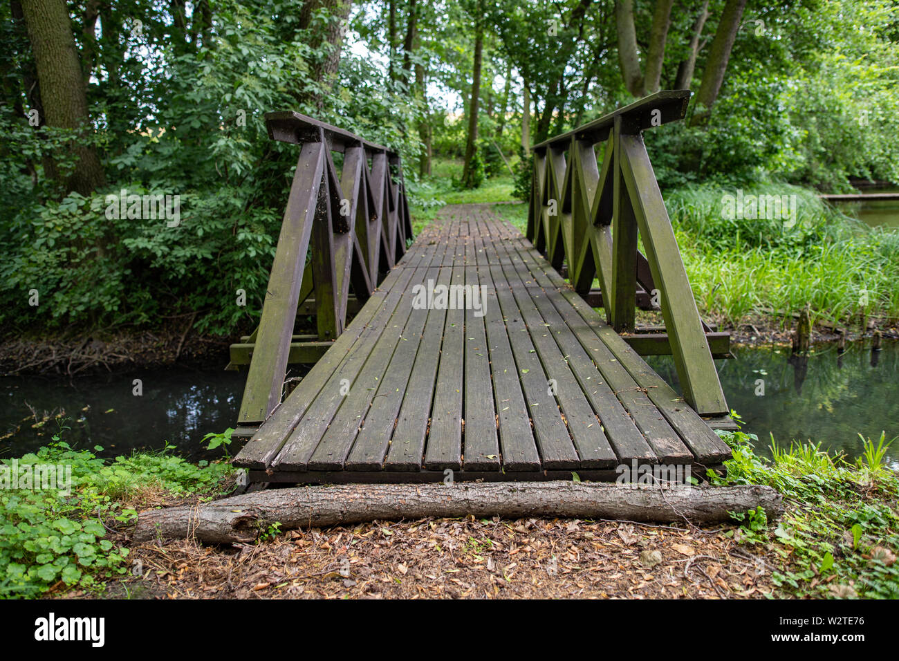 A small wooden bridge in the park. Crossing a small river in the forest ...