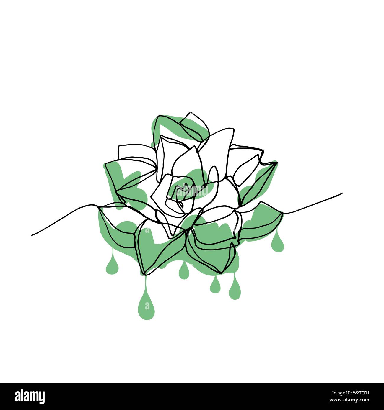 Hand drawn minimalistic succulent with dripping green pain, one single ...