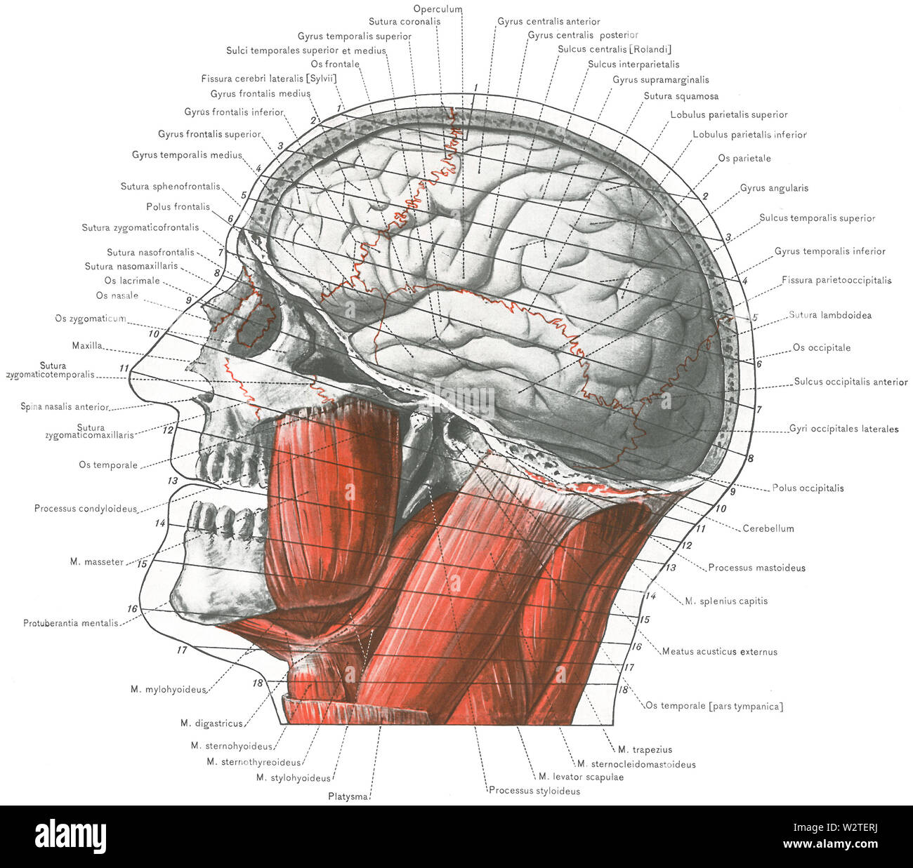Key workshop Cut Out Stock Images & Pictures - Alamy