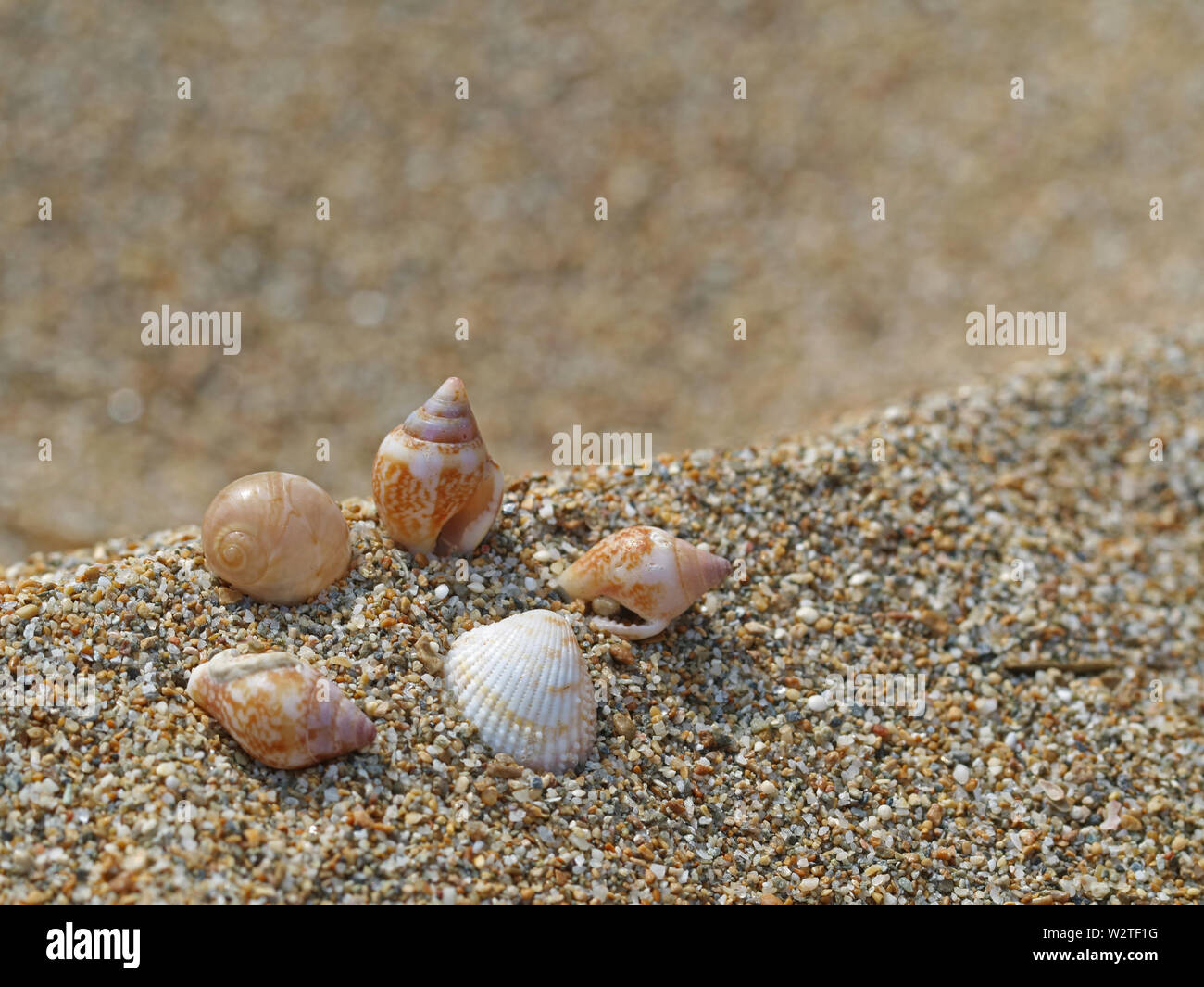 Beach shot with beautiful white sand hi-res stock photography and ...