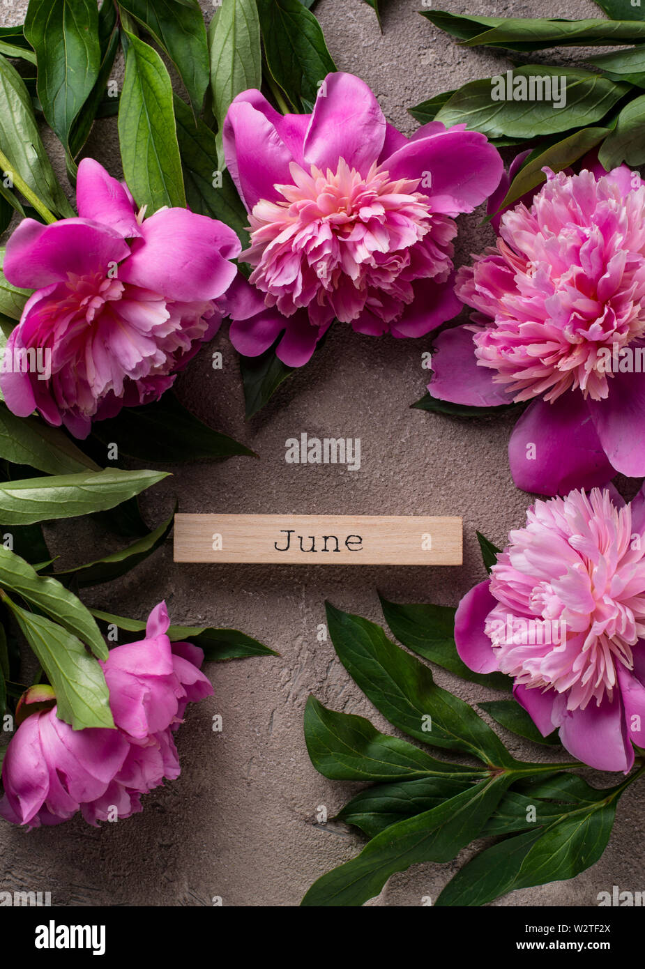Pink peony flowers on light background. June concept Stock Photo - Alamy