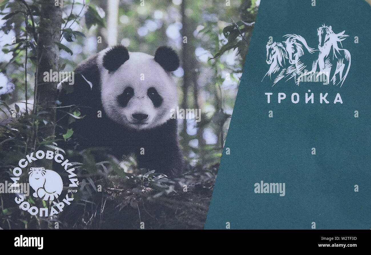 Giant panda images hi-res stock photography and images - Alamy