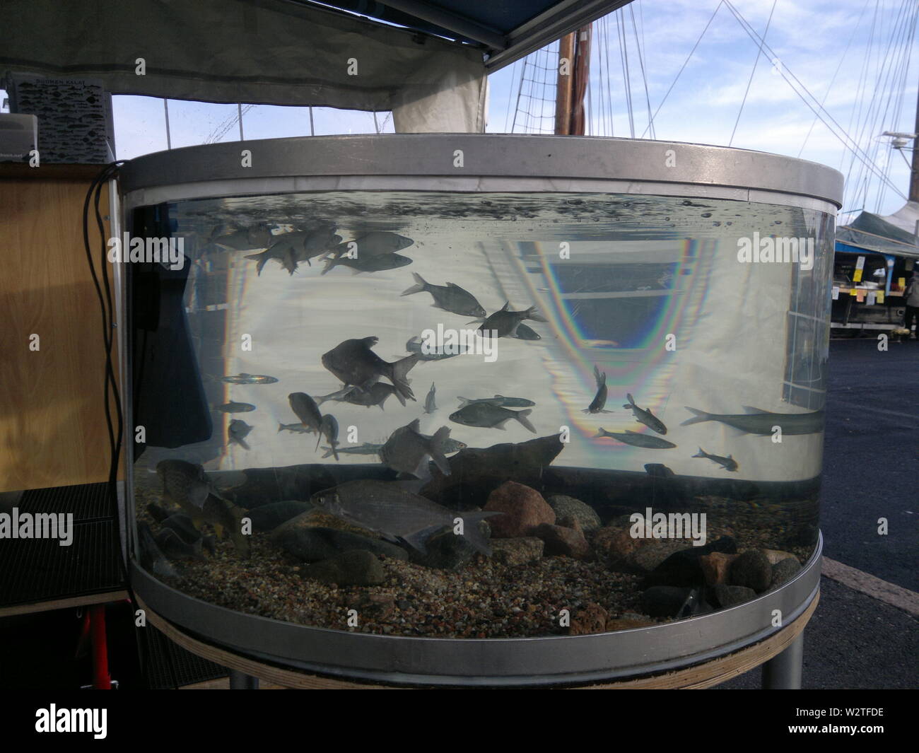 Runner vomiting hi-res stock photography and images - Alamy