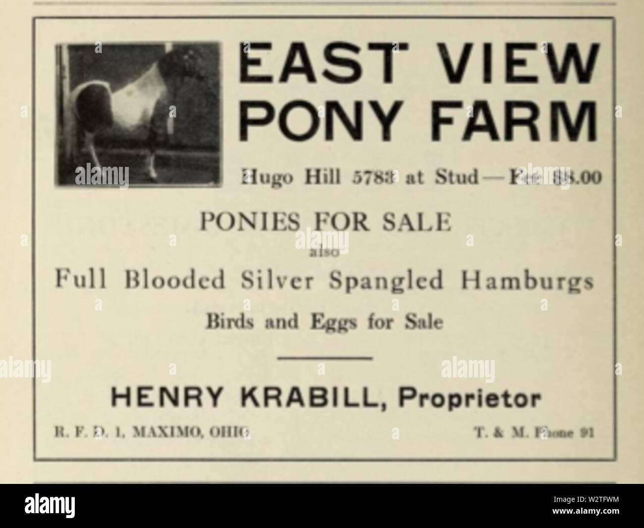 1915 advertisement for East View Pony Farm - Maximo Ohio Stock Photo ...