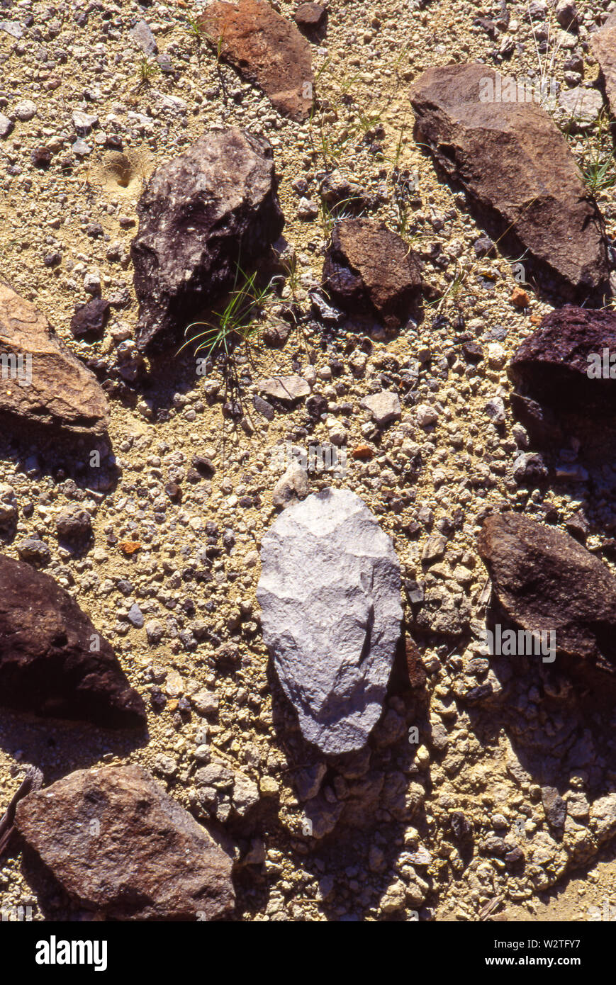 Early humans, homo erectus, lived in the Olorgesailie region, in ...