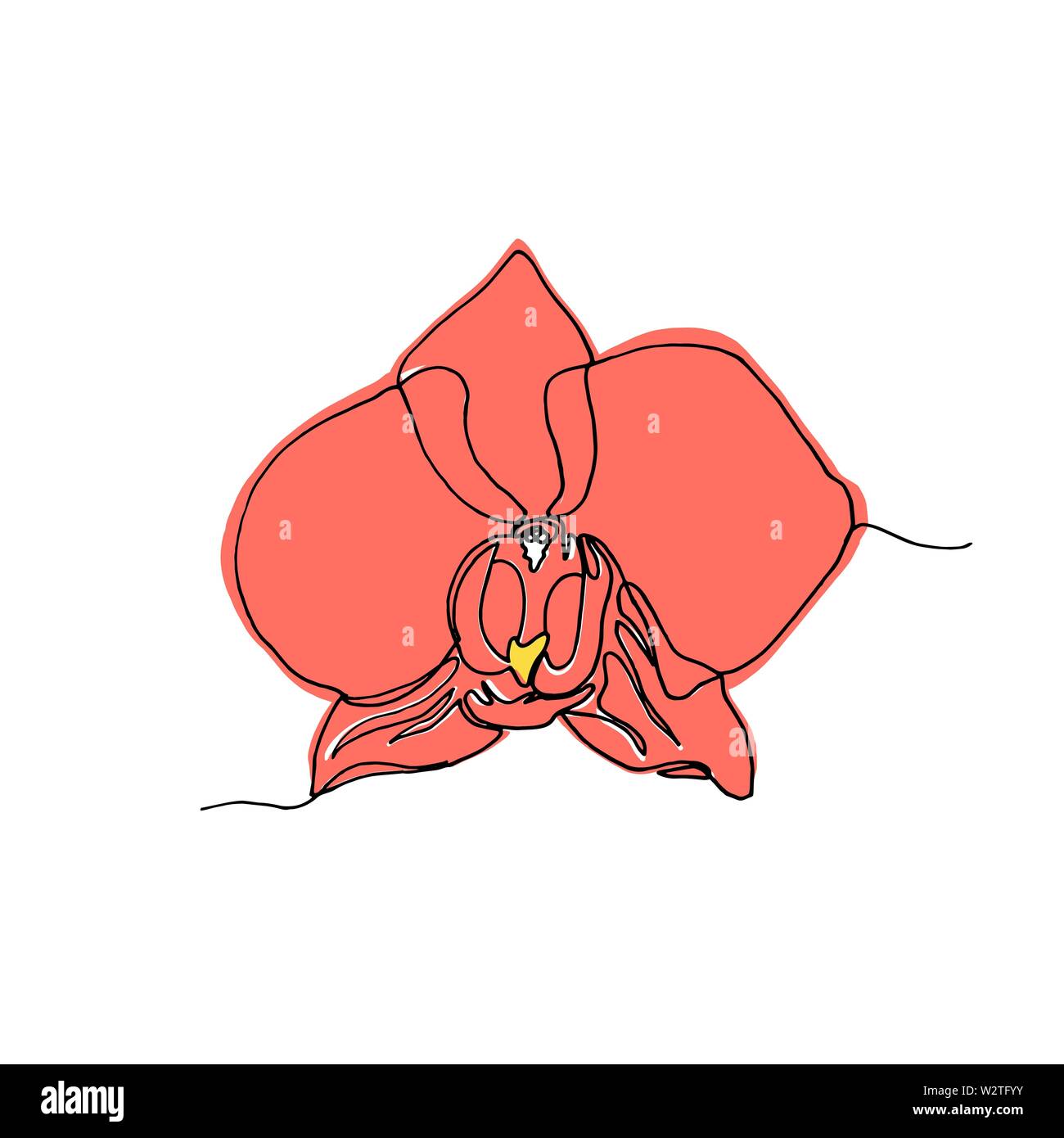 Hand Drawn Orchid Flower Coral Color One Single Line Drawing