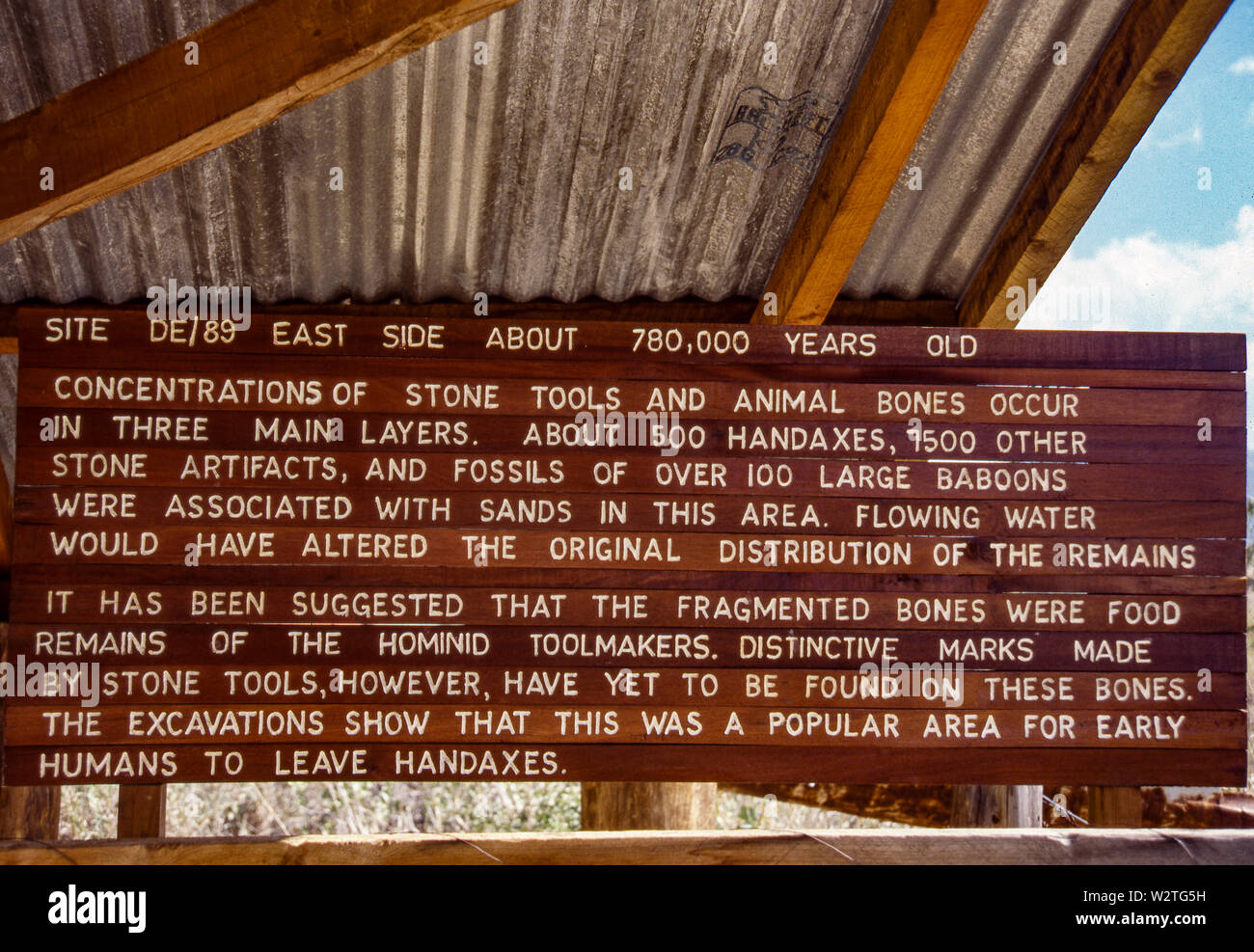 Early humans, homo erectus, lived in the Olorgesailie region, in ...