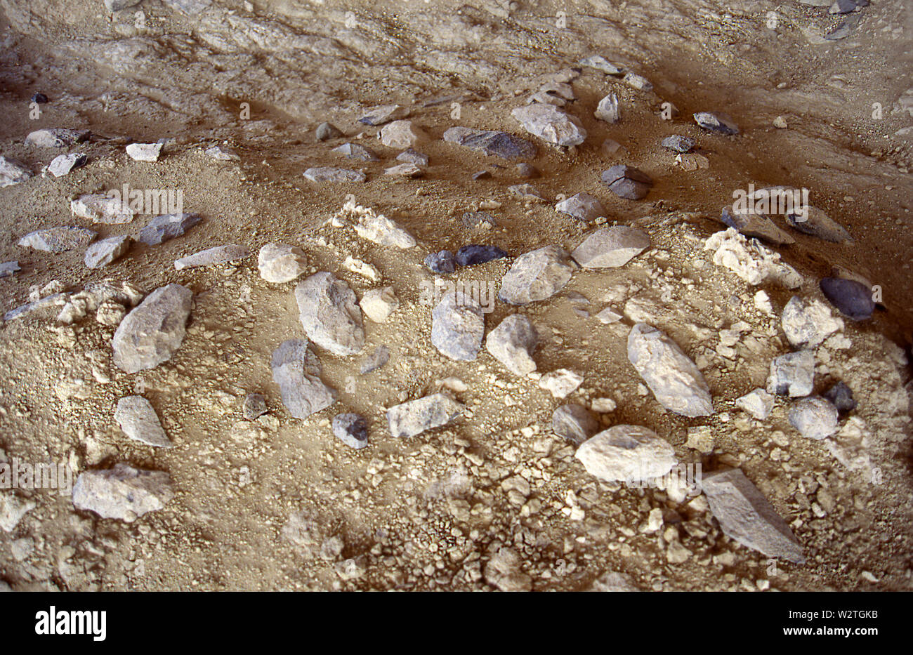 Early humans, homo erectus, lived in the Olorgesailie region, in ...