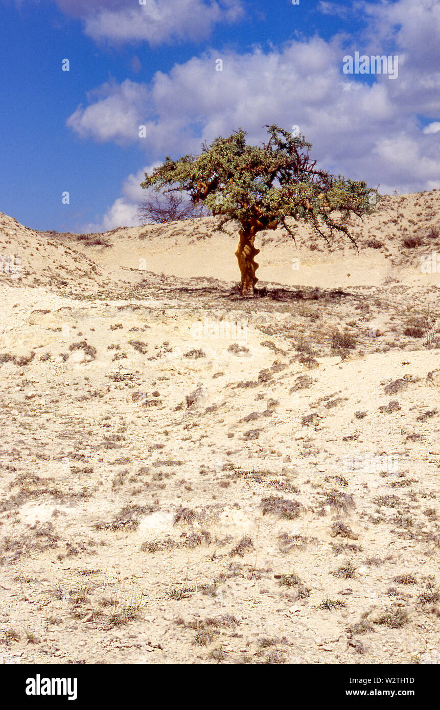 Human habitats hi-res stock photography and images - Alamy