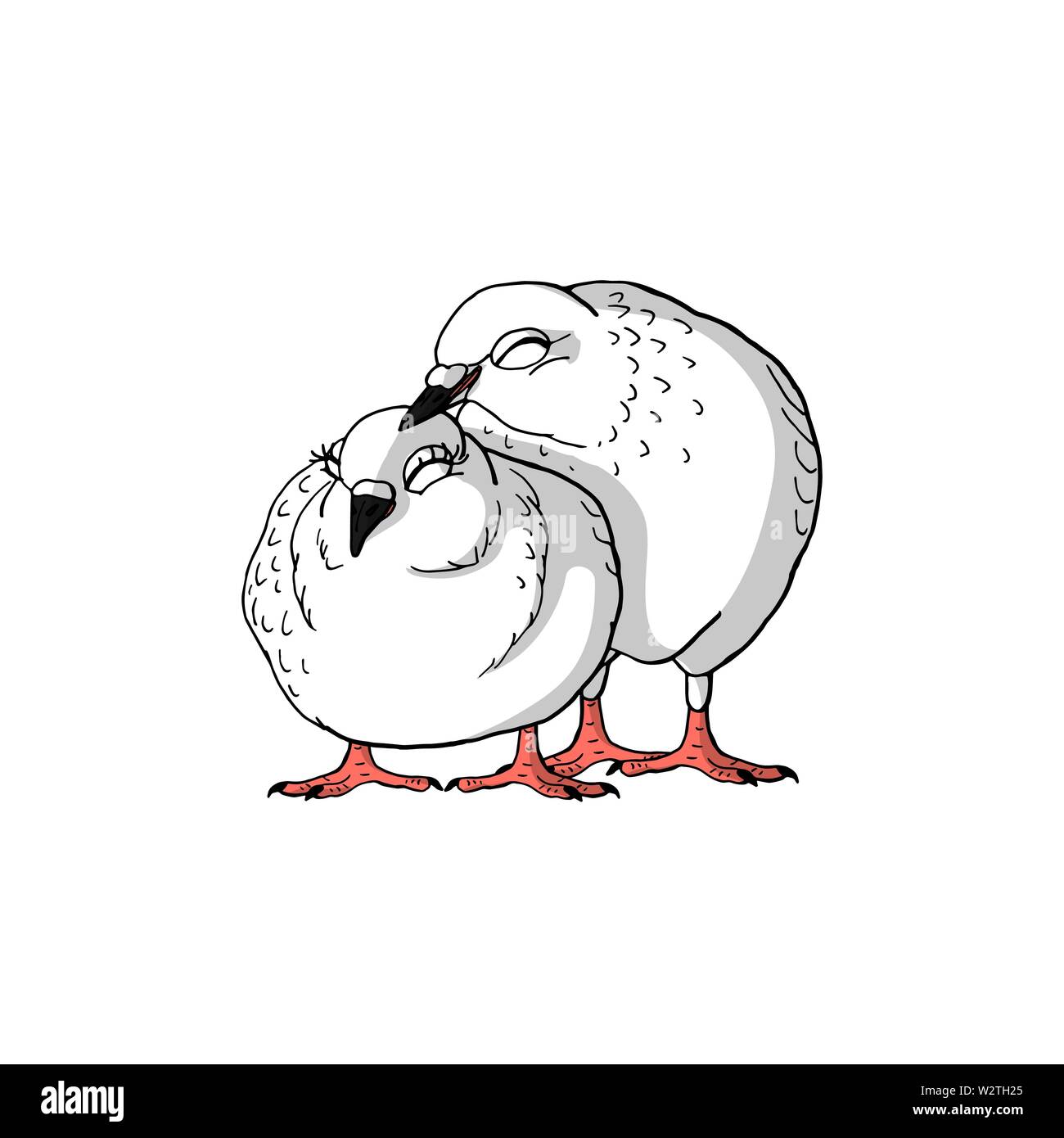 two hand drawn cute white pigeons, sweet loving couple of pigeons ...