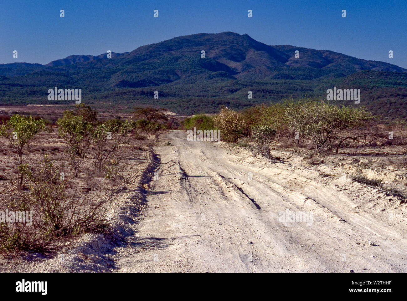 Early humans, homo erectus, lived in the Olorgesailie region, in ...