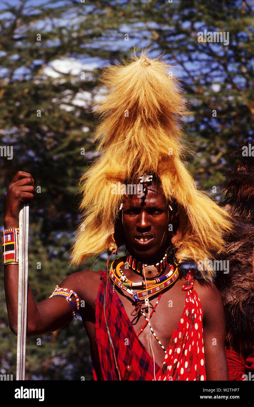 African warrior wearing lion mane hi-res stock photography and images ...