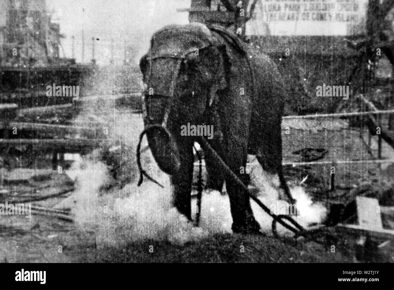 Electrocuting an Elephant edison film 1903 frame shot Stock Photo - Alamy