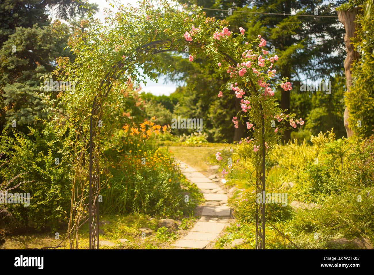 Rose Arc Garden High Resolution Stock Photography and Images - Alamy