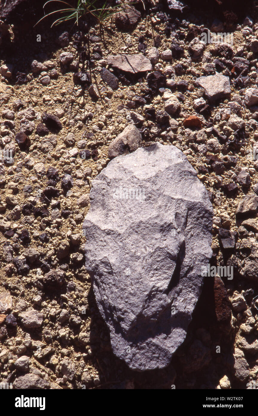 Early humans, homo erectus, lived in the Olorgesailie region, in ...