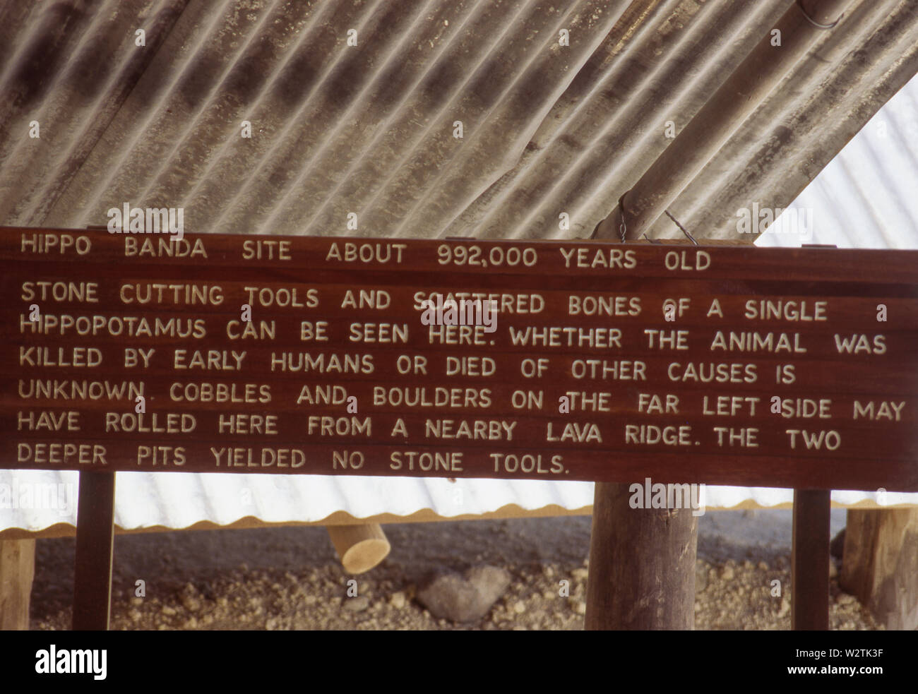 Early humans, homo erectus, lived in the Olorgesailie region, in ...