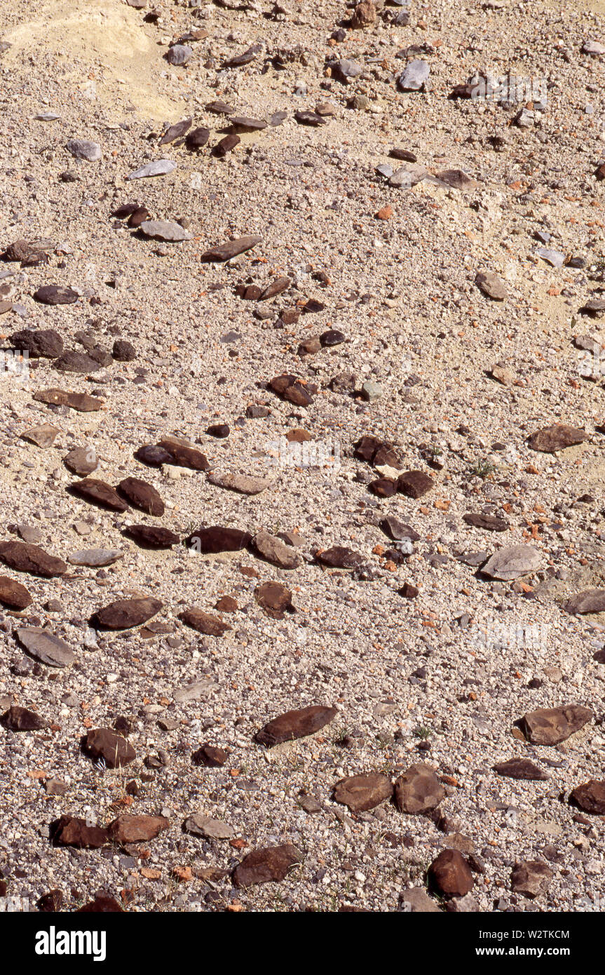 Early humans, homo erectus, lived in the Olorgesailie region, in ...