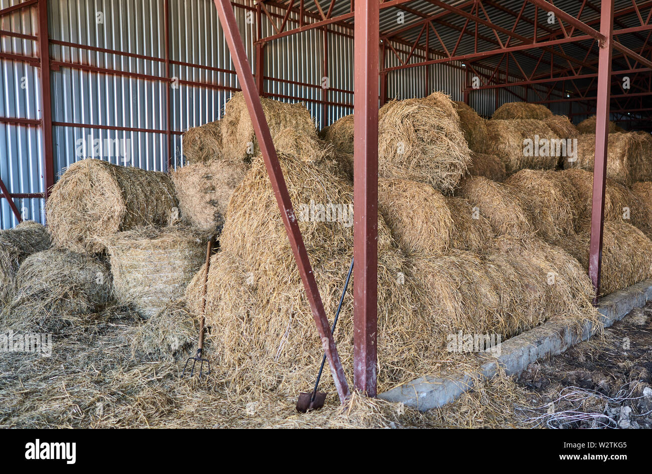 harvested hay stacks Stock Photo - Alamy