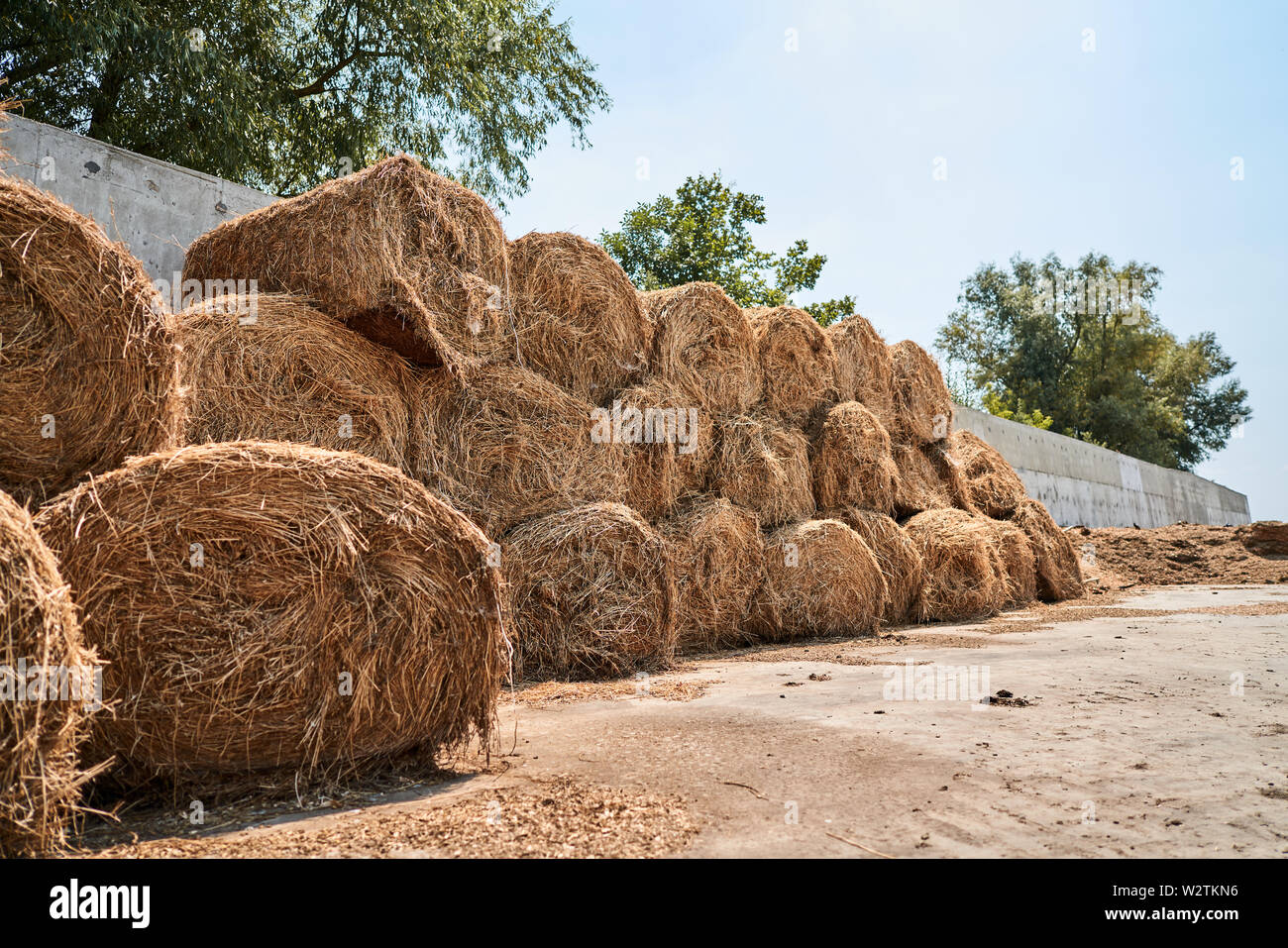 harvested hay stacks Stock Photo - Alamy