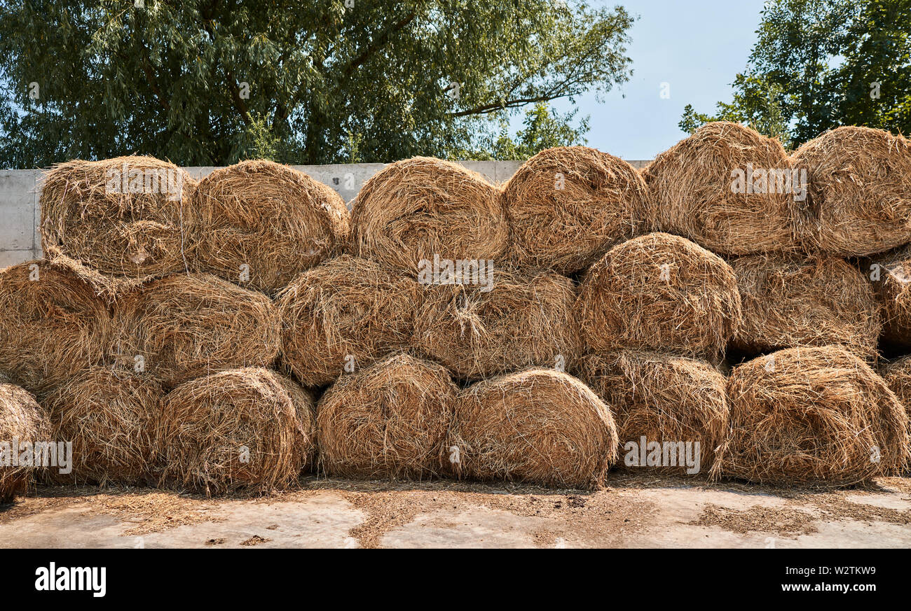 harvested hay stacks Stock Photo - Alamy